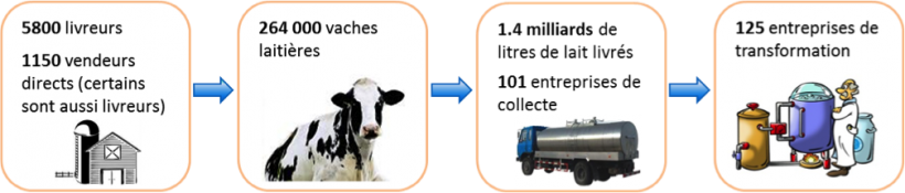 schema-filiere-laitiere – Auvergne-Rhône-Alpes Elevage