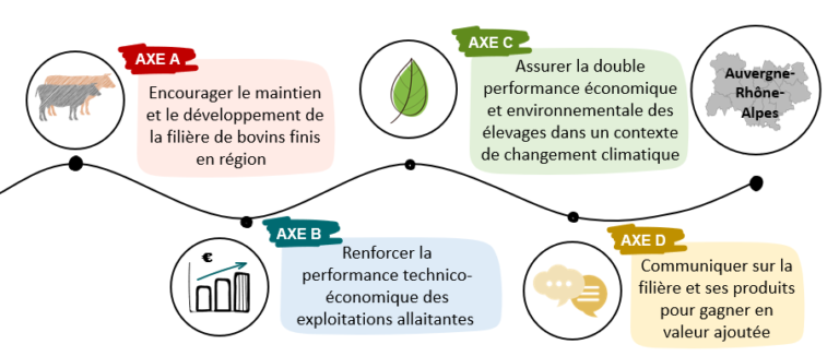 Plan de filière régional Bovin Viande – Auvergne-Rhône-Alpes Elevage
