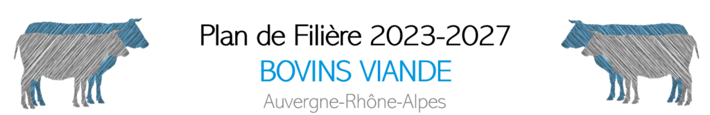 Aide Bovin Viande : Investissements de contention – Auvergne-Rhône-Alpes Elevage