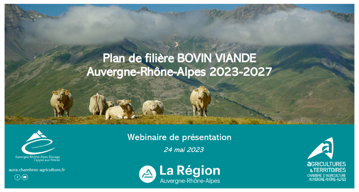 Plan de filière régional Bovin Viande – Auvergne-Rhône-Alpes Elevage