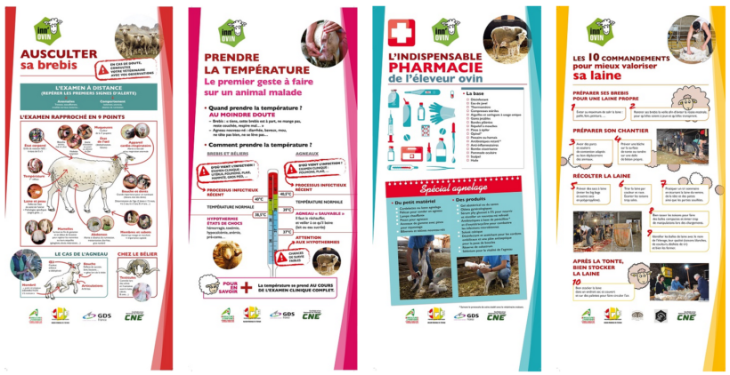 Capture6 – Auvergne-Rhône-Alpes Elevage